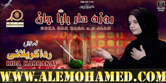 Rida Karbalai Ayyam-e-Ali Noha 2018-19 | Farhan Ali Waris Nohay 2023-24 ~ Farhan Ali Waris Nohay ...