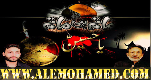 Hasan Sadiq & Raza Hasan Nohay 2018-19 | Farhan Ali Waris Nohay 2023-24 ...