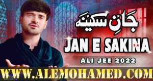 Ali Jee Nohay 2022-23 | Farhan Ali Waris Nohay 2023-24 ~ Farhan Ali ...