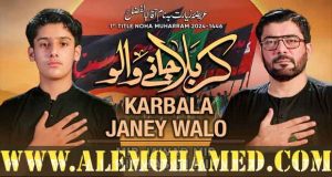 Mir Hasan Mir Nohay 2024-25 | Farhan Ali Waris Nohay 2023-24 ~ Farhan ...