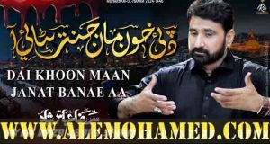 Raza Abbas Shah Nohay 2024-25 | Farhan Ali Waris Nohay 2023-24 ~ Farhan Ali Waris Nohay 2023-24 ...